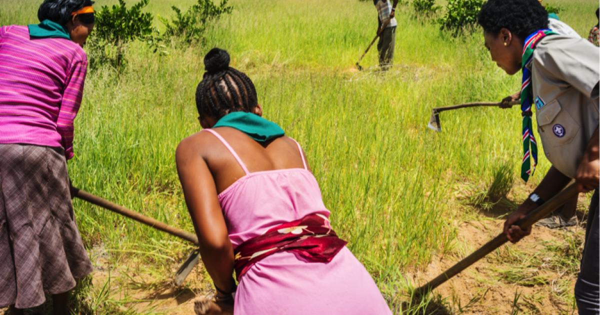Food For Life - Scouts in Africa | World Scout Foundation