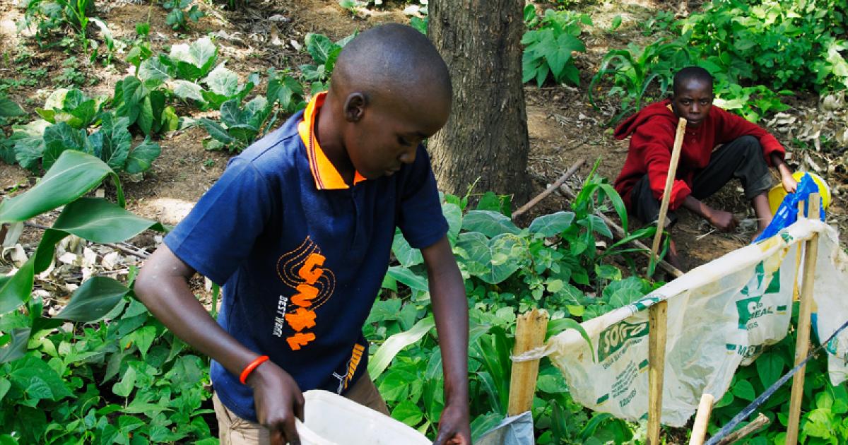 Food for Life | World Scout Foundation