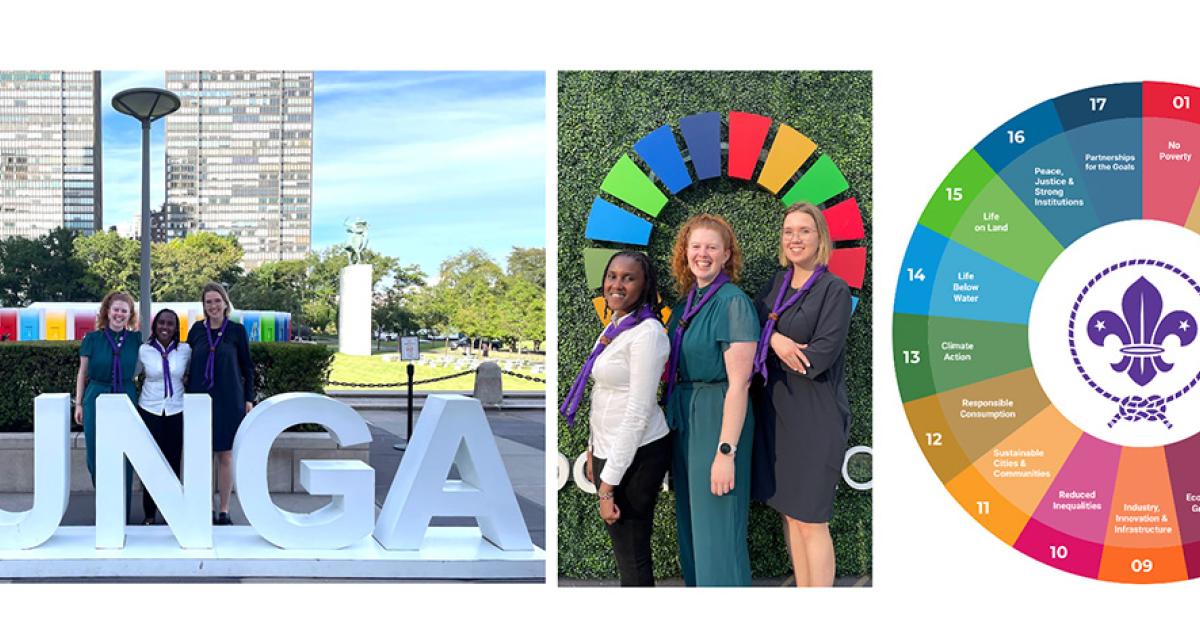 Largest youth-led contribution to the SDGs | World Scout Foundation